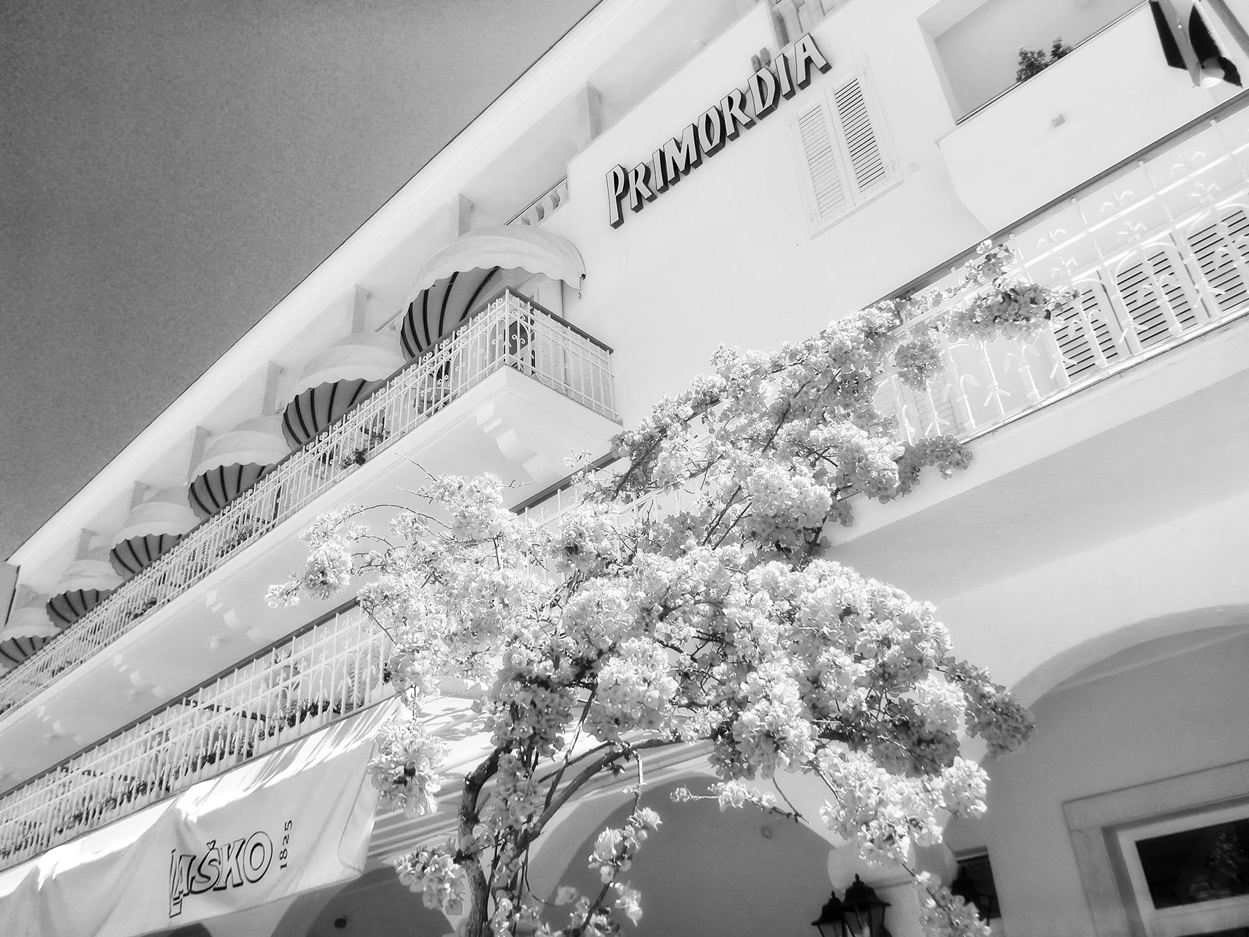 Home - HERITAGE HOTEL PRIMORDIA